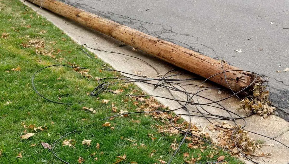 Can A Utility Pole Be Moved Only If You Do This First Can A Utility Pole Be Moved Only If You Do This First